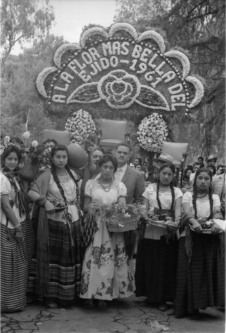 Xochimilco tiene más que canales y trajineras | Patarata.com.mx
