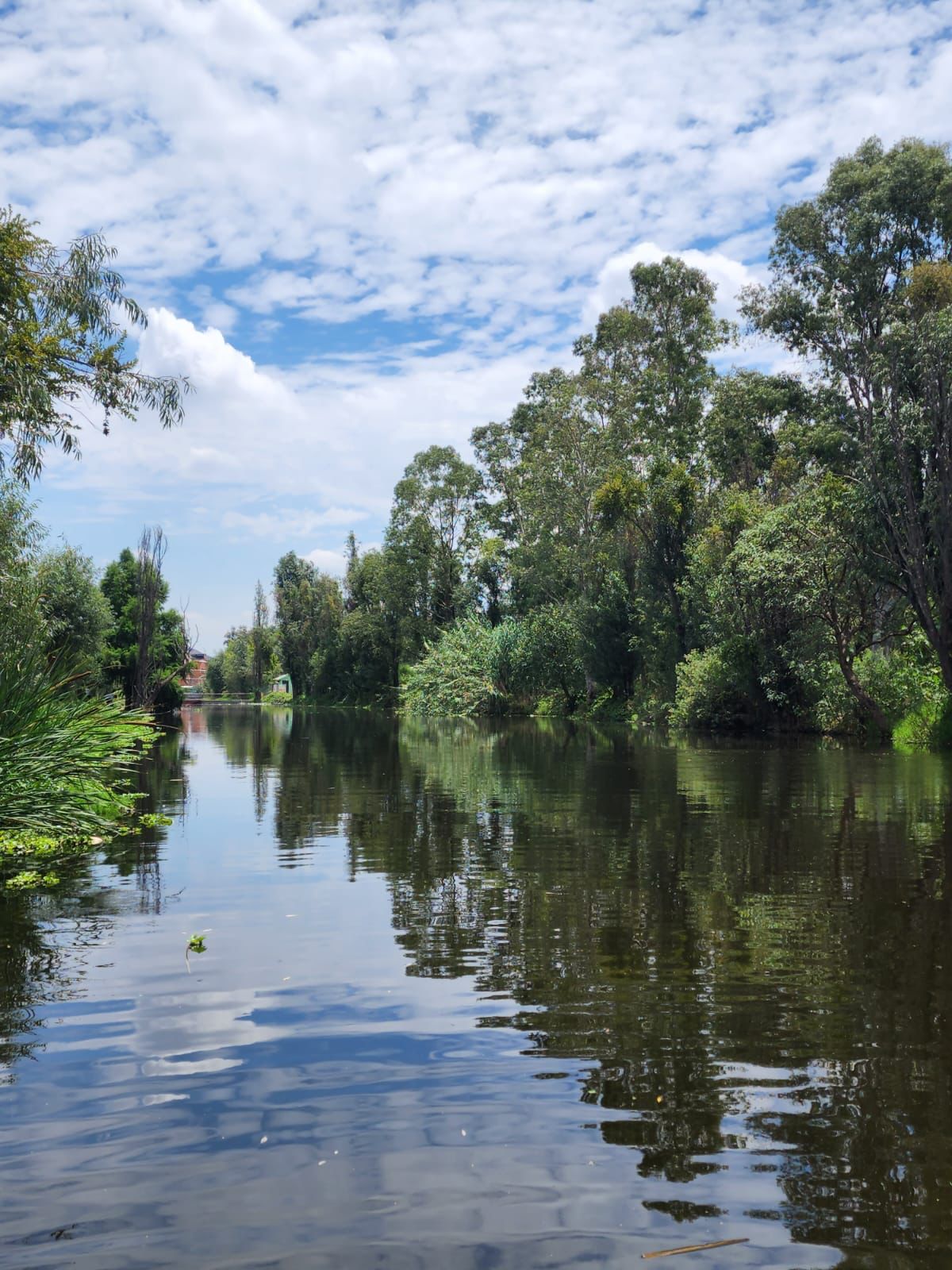 Xochimilco, la cementera florida | Patarata.com.mx