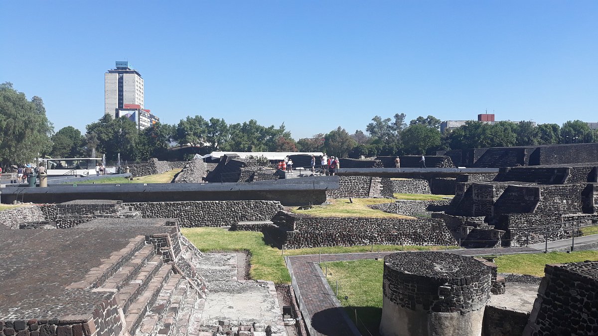 Tlatelolco, los islotes sagrados de Tenochtitlan | Patarata.com.mx