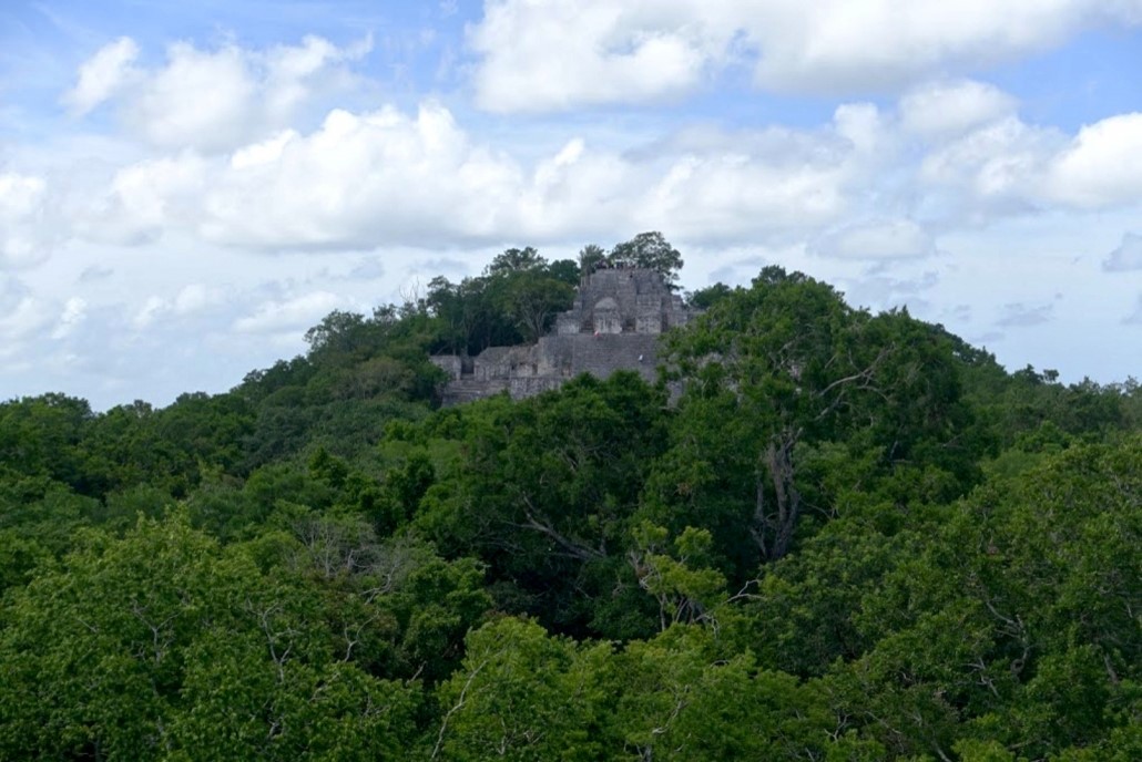 Apuntes al vuelo: Calakmul/ William J. Folan II | Patarata.com.mx